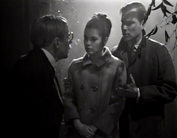 Dark Shadows 154 Headhunters Horror House Wiki Fandom