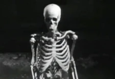 Skeleton | Headhunter's Horror House Wiki | Fandom