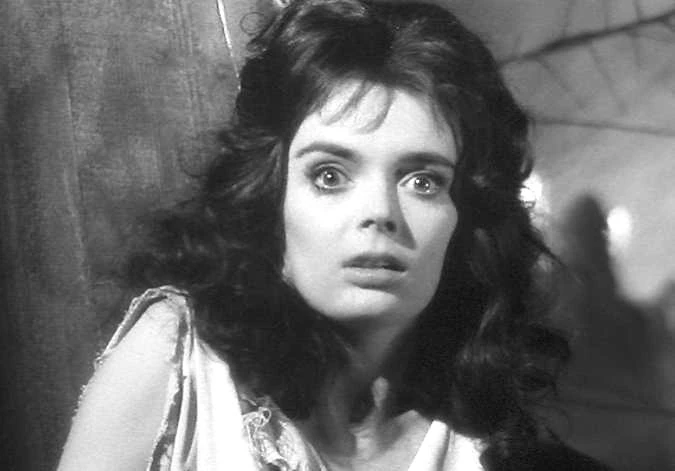 Asa Vajda | Headhunter's Horror House Wiki | Fandom