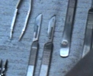 Scalpel | Headhunter's Horror House Wiki | Fandom