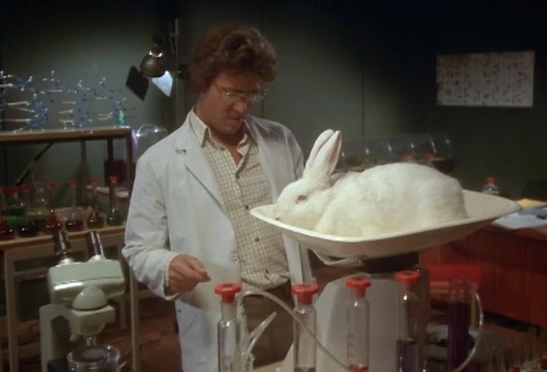 Rabbits | Headhunter's Horror House Wiki | Fandom