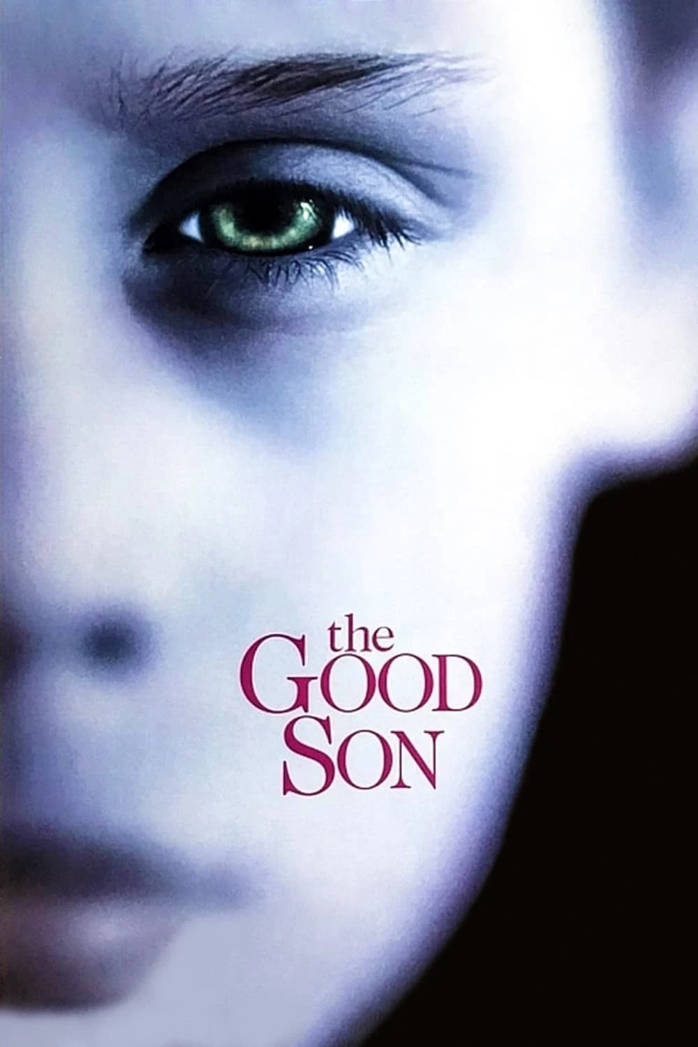 The Good Son | Headhunter's Horror House Wiki | Fandom