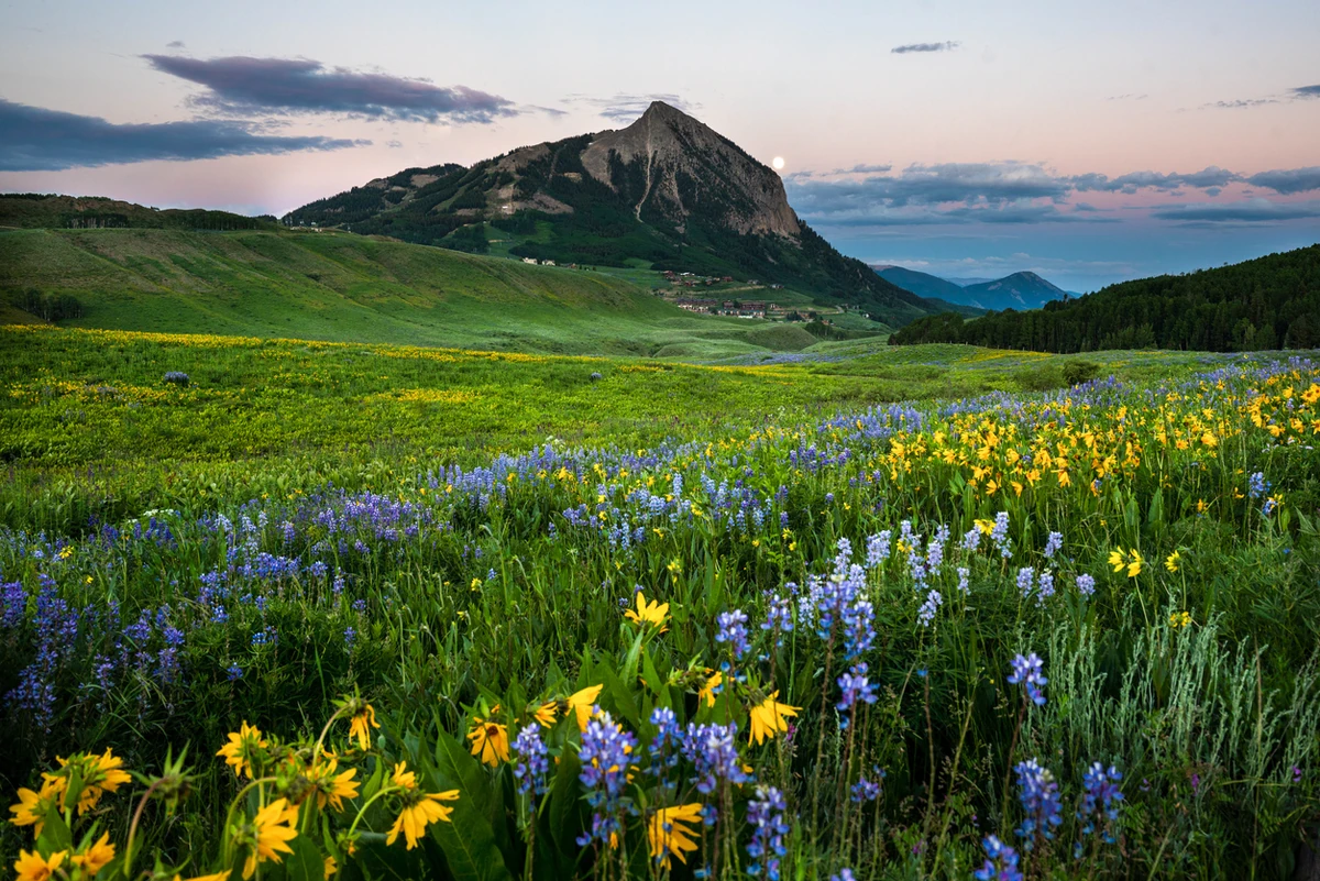 Crested Butte | Headhunter's Horror House Wiki | Fandom