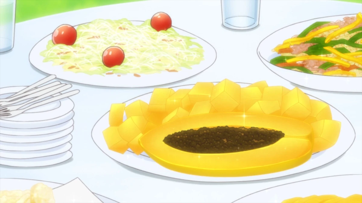 HSTPCR40 | Healing♡Startto☆Pretty Cure Wiki | Fandom