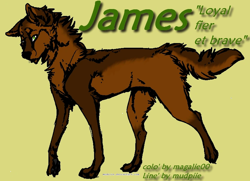James | Wiki Heart wolves | Fandom