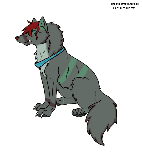 Hynéra | Wiki Heart wolves | Fandom