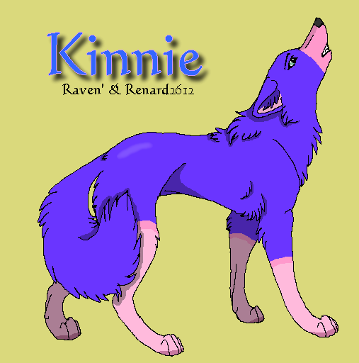 Kinnie | Wiki Heart wolves | Fandom