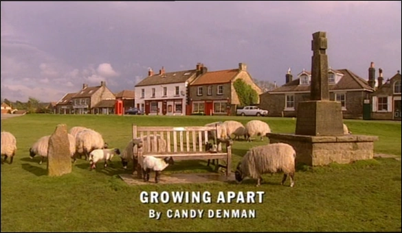 Growing Apart | Heartbeat Wiki | Fandom