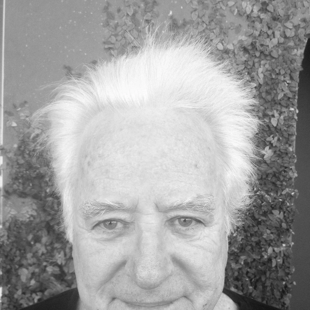 Stephen O'Rourke | Heartbreak High Wiki | Fandom