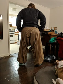 Poofy Pants | Hearthlight Wiki | Fandom