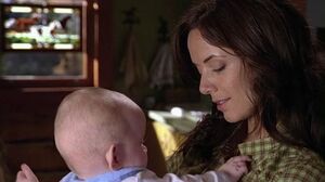 Lou Fleming | Heartland Wiki | Fandom