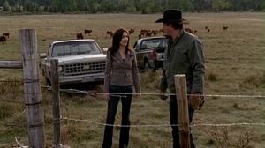 Lou Fleming | Heartland Wiki | Fandom