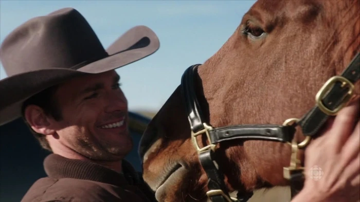 Maverick | Heartland Wiki | Fandom