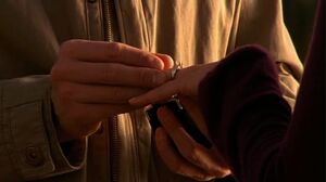 Lou Fleming | Heartland Wiki | Fandom