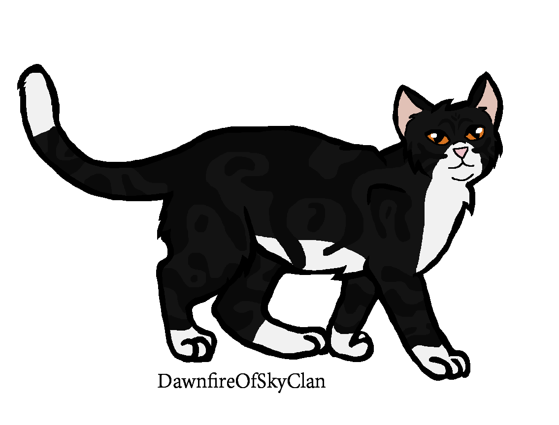 Book | Warriors Fan Made Clans Wiki | Fandom