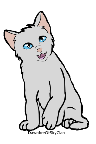 Dovekit (Windsplash) | Warriors Fan Made Clans Wiki | Fandom