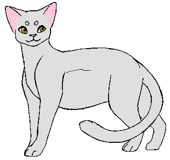 Snowtail (Aquamarine1212) | Warriors Fan Made Clans Wiki | Fandom