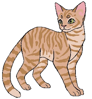 Newtwhisker (Aquamarine1212) | Warriors Fan Made Clans Wiki | Fandom