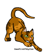 Maplepaw (Pandora910) | Warriors Fan Made Clans Wiki | Fandom