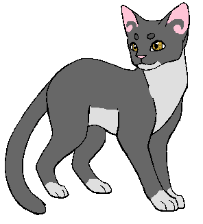 Pebblestorm (Aquamarine1212) | Warriors Fan Made Clans Wiki | Fandom