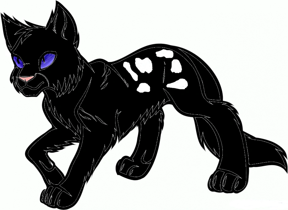 Nightfrost (Moonstar36) | Warriors Fan Made Clans Wiki | Fandom