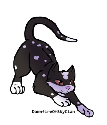 Cinderpaw (Shaek55) | Warriors Fan Made Clans Wiki | Fandom