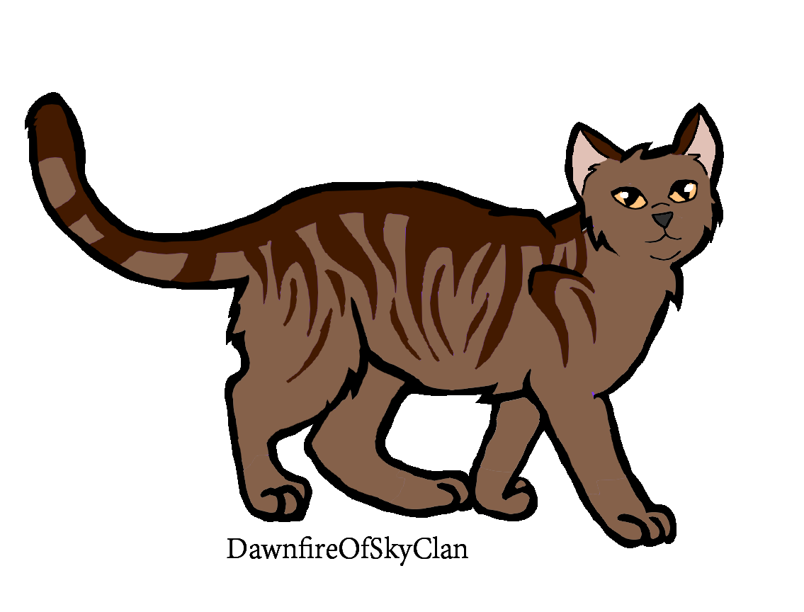 Tigerhawk (Windsplash) | Warriors Fan Made Clans Wiki | Fandom