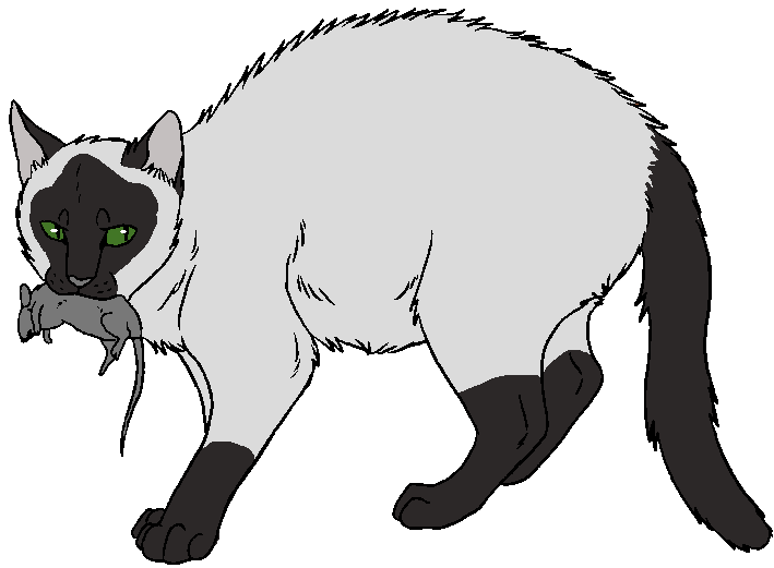 Roxie (FishCat1) | Warriors Fan Made Clans Wiki | Fandom