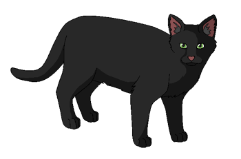 Nightpelt (Aquamarine1212) | Warriors Fan Made Clans Wiki | Fandom