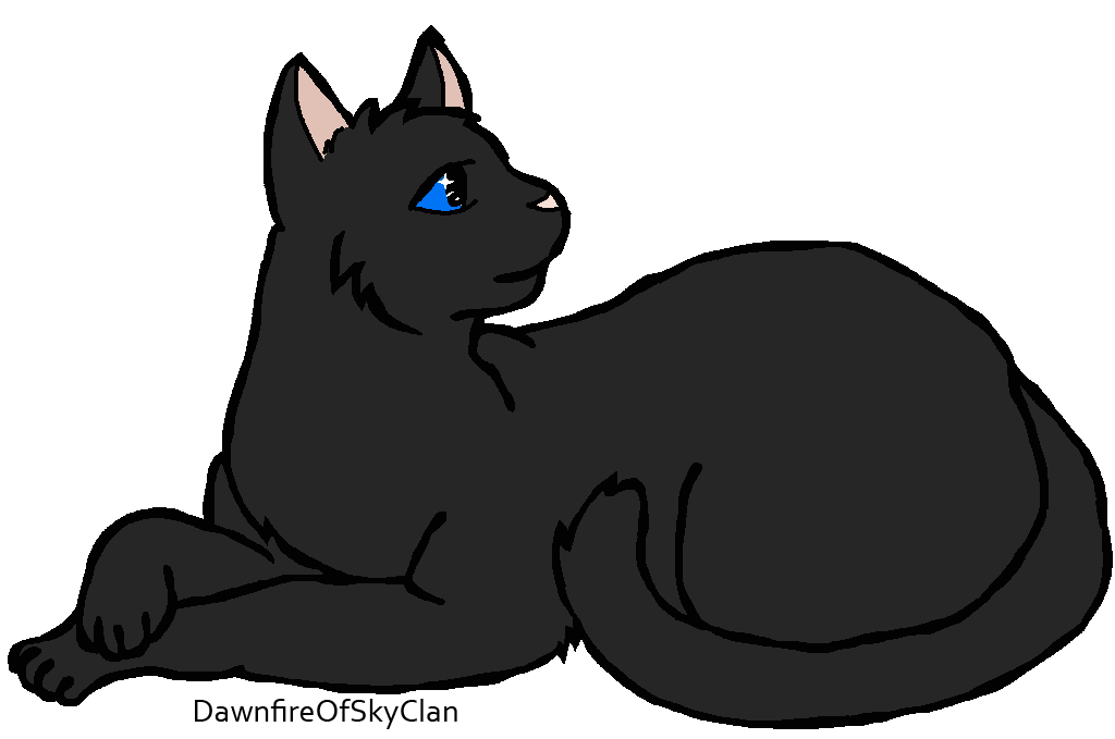 Nightwing (Pandora910) | Warriors Fan Made Clans Wiki | Fandom