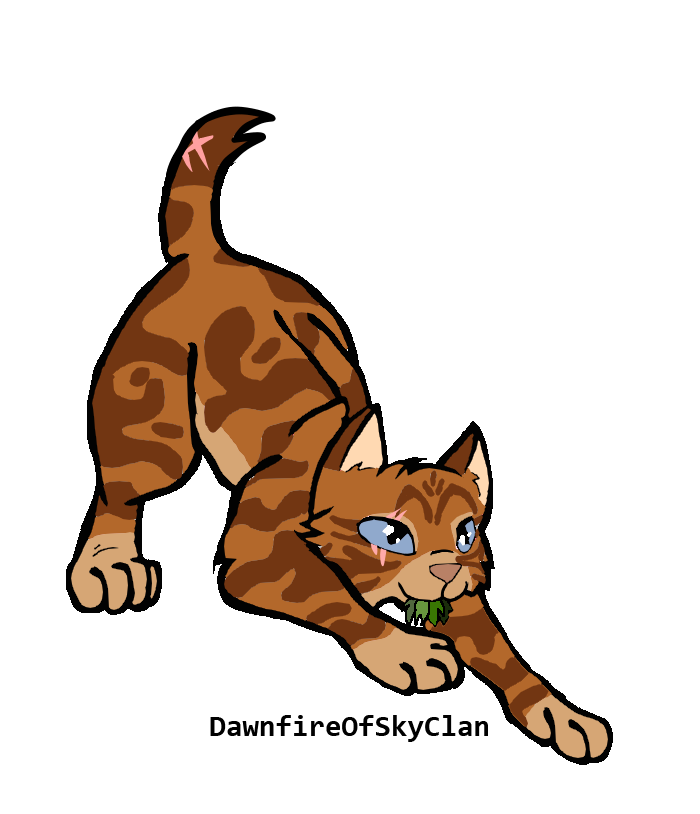 Cherrypaw (Windsplash) | Warriors Fan Made Clans Wiki | Fandom