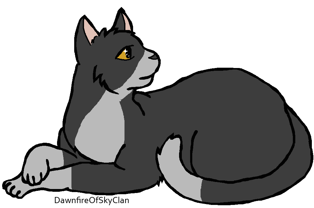 Batpaw (Pandora910) | Warriors Fan Made Clans Wiki | Fandom