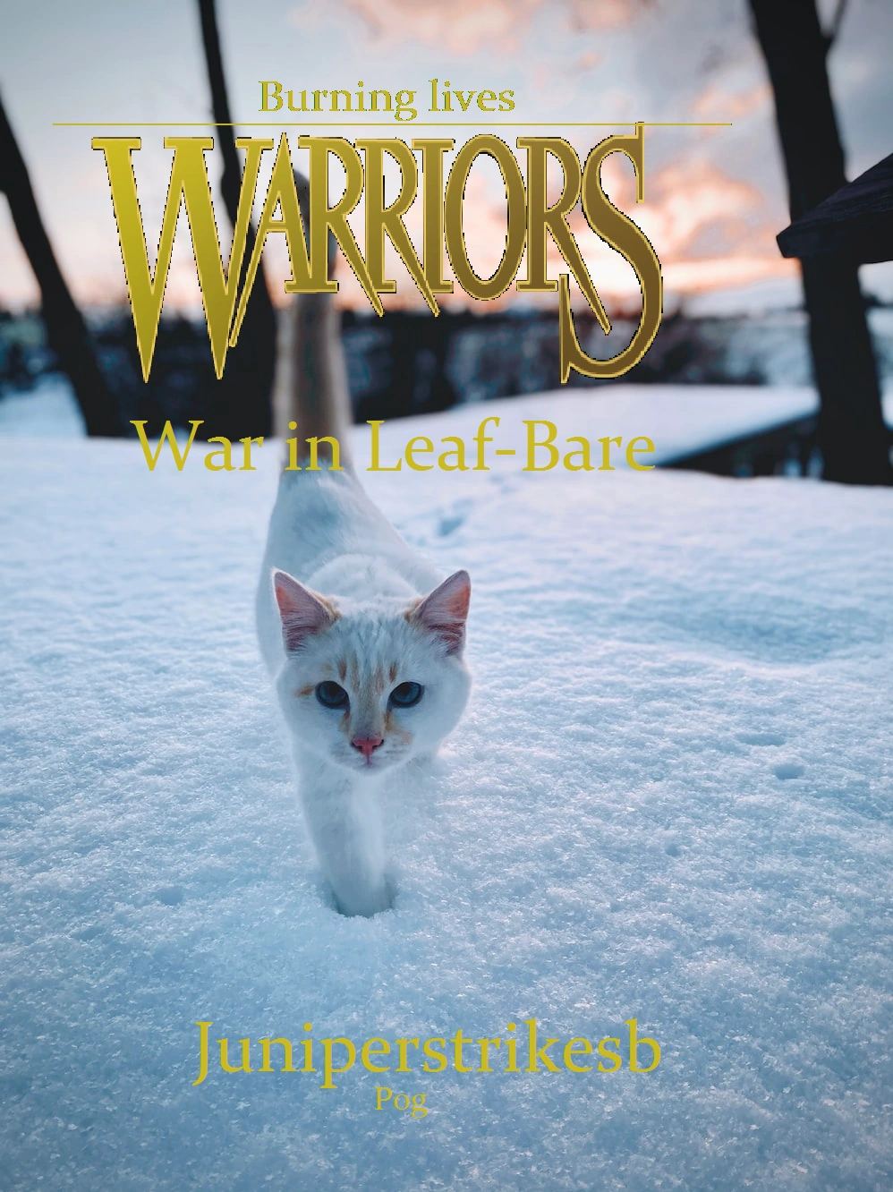 War in Leaf-Bare (Juniperstrikesb) | Warriors Fan Made Clans Wiki | Fandom