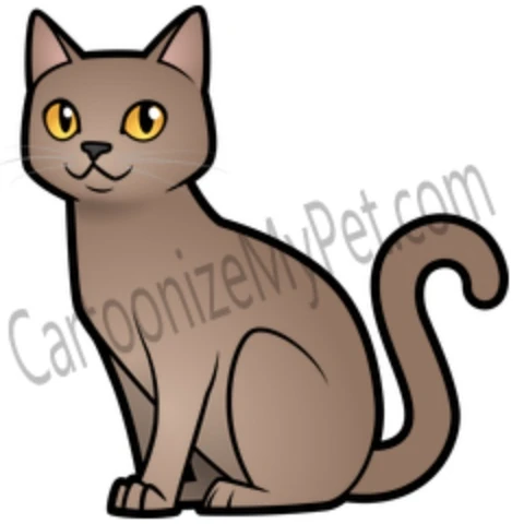 Shrewpaw (MapleSugarThirty-Three) | Warriors Fan Made Clans Wiki | Fandom