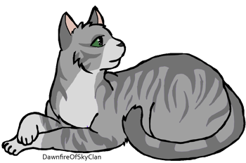 Ashwing (Windsplash) | Warriors Fan Made Clans Wiki | Fandom