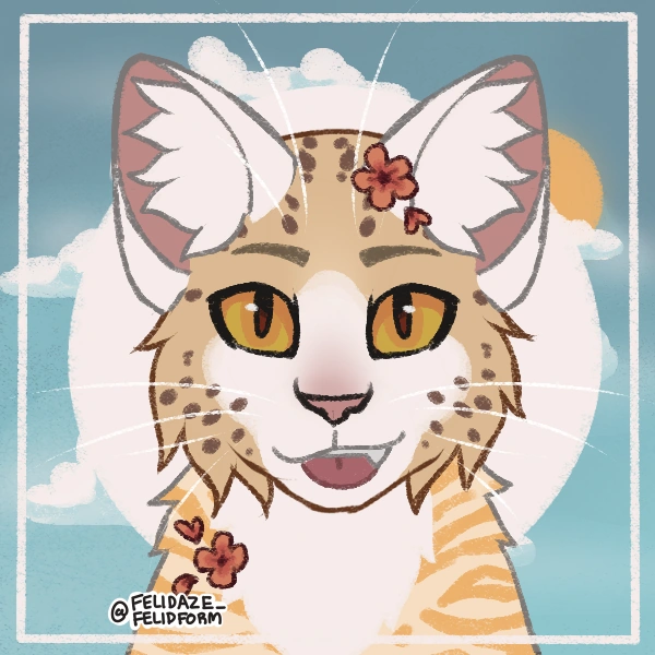 Cats | Warriors Fan Made Clans Wiki | Fandom