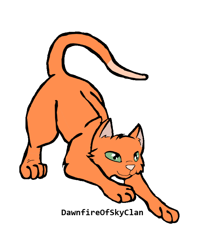 Flamepaw Windsplash Warriors Fan Made Clans Wiki Fandom