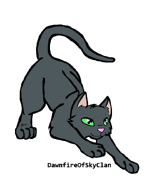 Bluepaw (Pandora910) | Warriors Fan Made Clans Wiki | Fandom