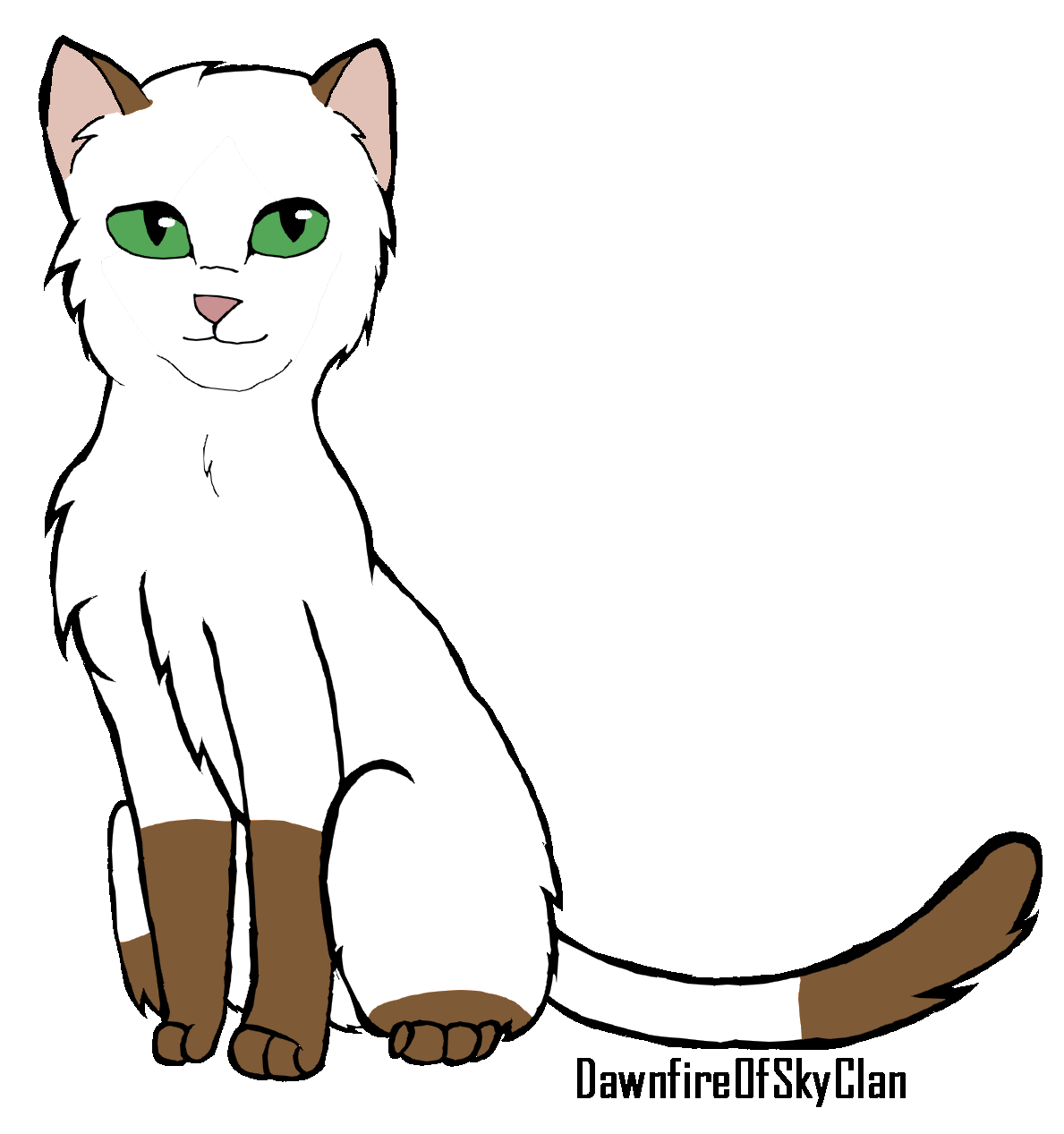 Poppystar Windsplash Warriors Fan Made Clans Wiki Fandom