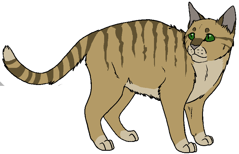 Tawnyheart (FishCat1) | Warriors Fan Made Clans Wiki | Fandom