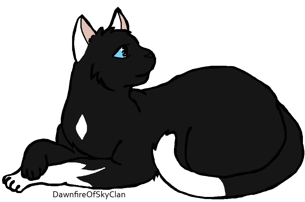 Crowstar (Pandora910) | Warriors Fan Made Clans Wiki | Fandom