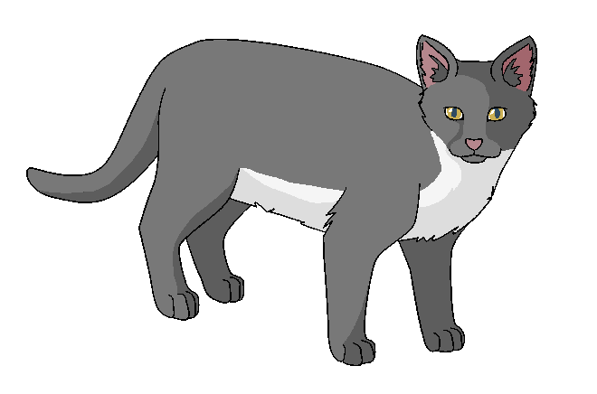 Robinwing (Aquamarine1212) | Warriors Fan Made Clans Wiki | Fandom