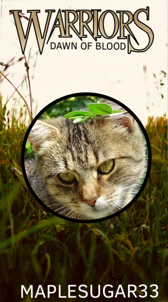 Dawn Of Blood (MapleSugarThirty-Three) | Warriors Fan Made Clans Wiki ...