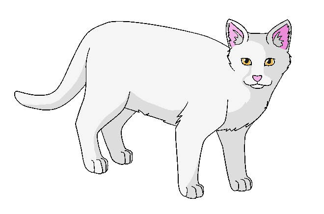 Snowtail (Aquamarine1212) (TFoLS) | Warriors Fan Made Clans Wiki | Fandom