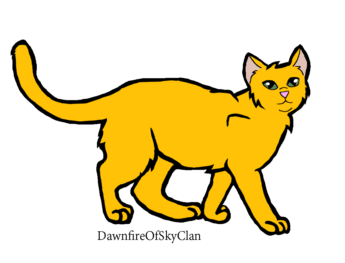 Goldenfrost Windsplash Warriors Fan Made Clans Wiki Fandom