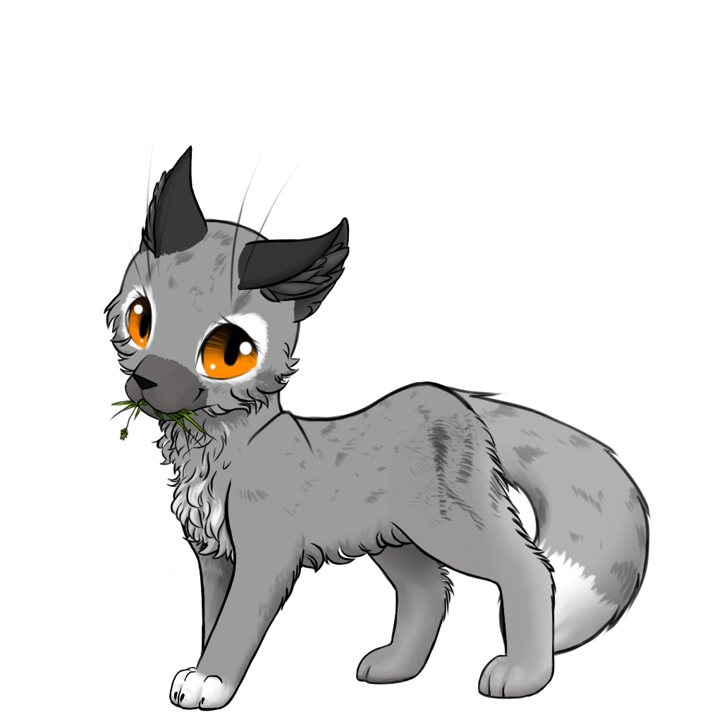 Featherfur (Sk8ergirl10) | Warriors Fan Made Clans Wiki | Fandom