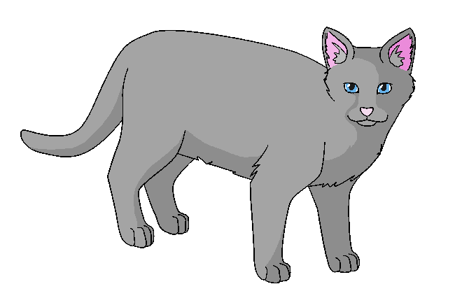 Pebblesplash (Aquamarine1212) | Warriors Fan Made Clans Wiki | Fandom