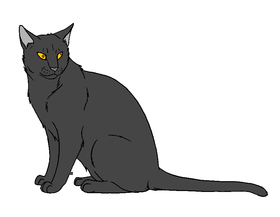 Greywing (Boomtowne) | Warriors Fan Made Clans Wiki | Fandom