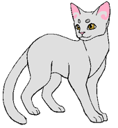 Snowtail (Aquamarine1212) | Warriors Fan Made Clans Wiki | Fandom