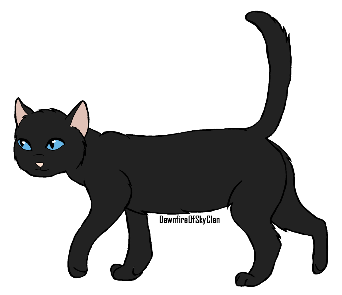 Tallsong (Pandora910) | Warriors Fan Made Clans Wiki | Fandom